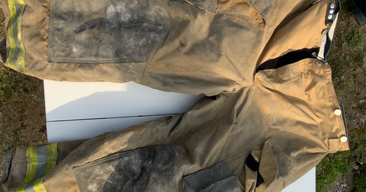 Used Lion Turnout Pants (Size 38R) - Lion for Sale | Garage